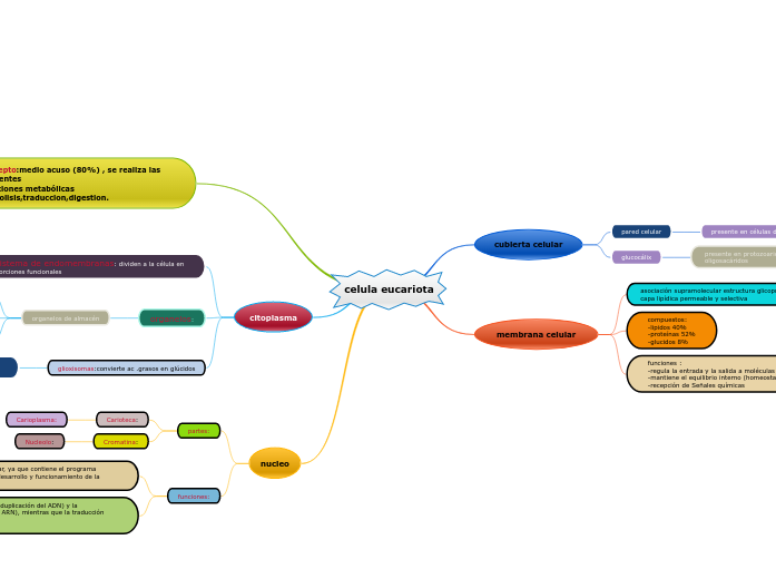 celula eucariota - Mind Map